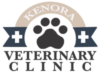 Vanectyl P – Kenora Veterinary Clinic